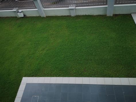 Elans Lawn Journal Lawn Care Forum