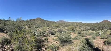 Best 10 Hiking Trails In Sweetwater Preserve Alltrails