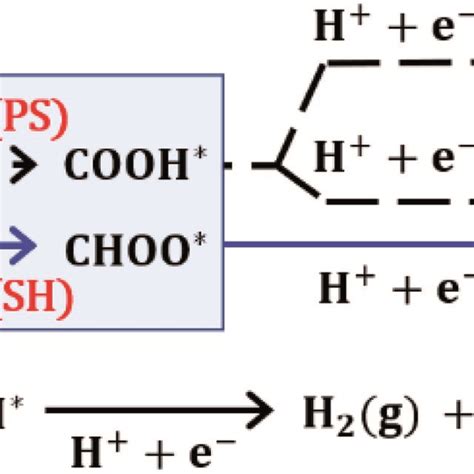 The Protonelectron Transfer Elementary Steps For Co2 Electrochemical