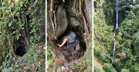 La cascada escondida en el tronco de un árbol Dónde está y cuánto cuesta visitarla