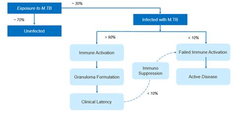 Stls Basics Of Tb And Ntep Knowledge Base