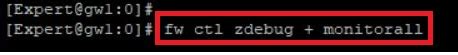 Fw Ctl Zdebug Helpful Command Combinations Check Point CheckMates