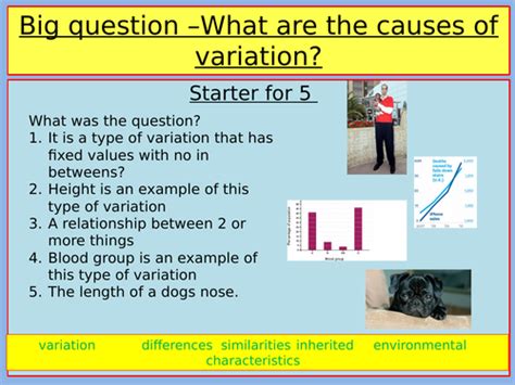 What Are The Causes Of Variation Teaching Resources