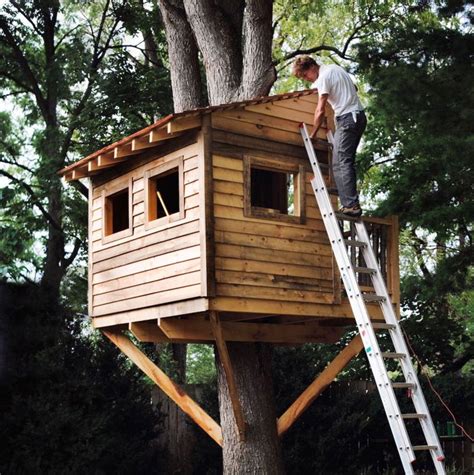 5 Things You Need To Know Before Building A Treehouse