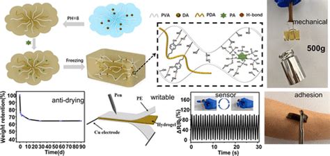 Facile Preparation Of A Self Adhesive Conductive Hydrogel With Long