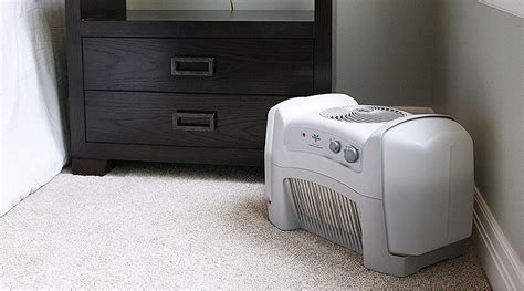 Best Humidifier For Plants Top Picks Of