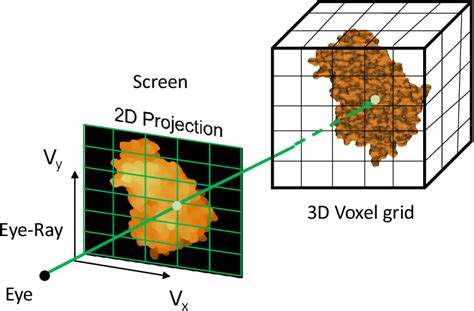 3d Reconstruction Of Protein Complex Structures Using Synthesized Multi View Afm Images