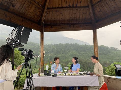 首个国际茶日江西庐山云雾茶火爆直播间