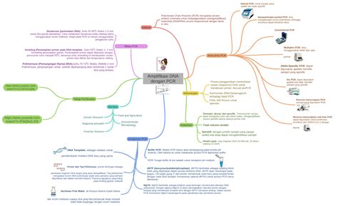 Amplifikasi Dna Dengan Pcr Bingung Image Coggle Diagram