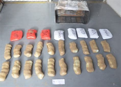 Procesaron A Supuestos Traficantes Que Transportaban Casi 200 Kilos De