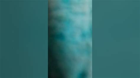 مقطع عن اللون الزرق ️🎈🎉 Youtube