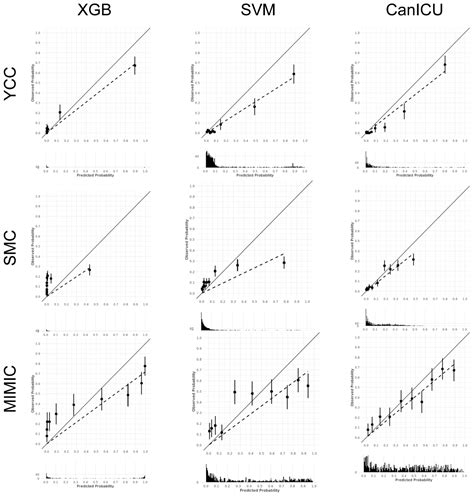 Machine Learning Based Mortality Prediction Model For Critically Ill