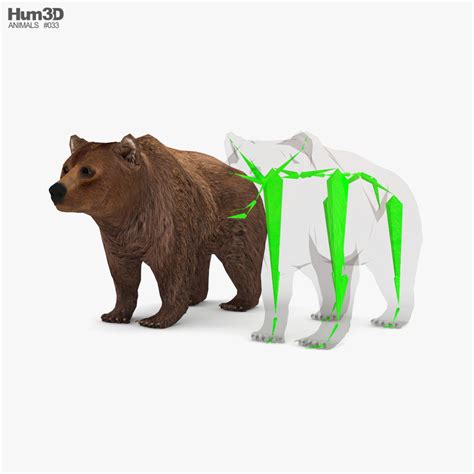 Brown Bear Low Poly Rigged 3d Model Download Mammals On