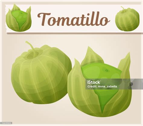 Tomatiilo Vector Icon Green Vegetables Group Cartoon Illustration