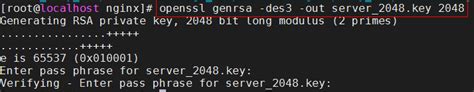 生成openssl证书 运行和验证 nginx 移植指南 nginx 开源使能 鲲鹏boostkit web使能套件开发文档 鲲鹏社区