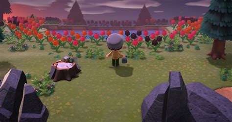 Animal Crossing New Horizons 14 Pro Tips For Your Mystery Island Trip