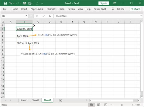 Text Function Dailyexcel Net