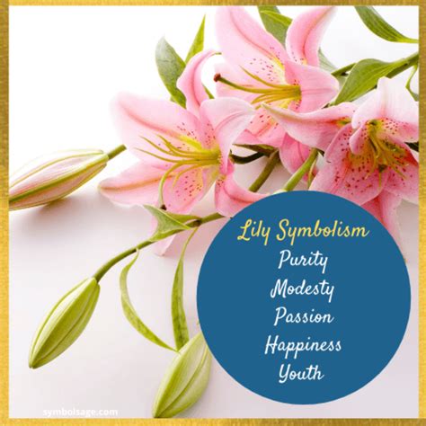 Lily Symbolism And Meaning Symbol Sage