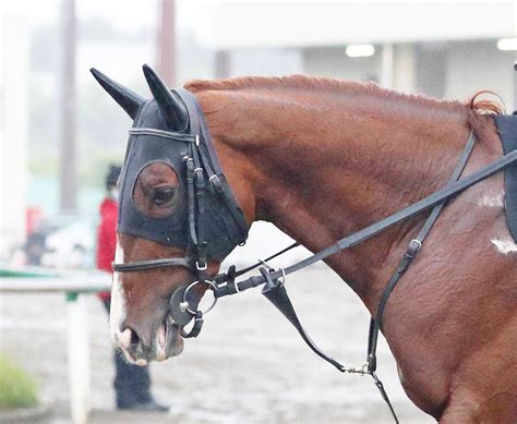 【平安s】ミトノオーが鮮やか逃げ切りv 約1年ぶりの重賞2勝目 3連単16万円超の波乱 スポーツ報知