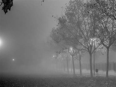 Premium Photo Misty Night