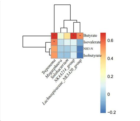 Correlation Between The Altered Rumen Bacteria Genus And Rumen