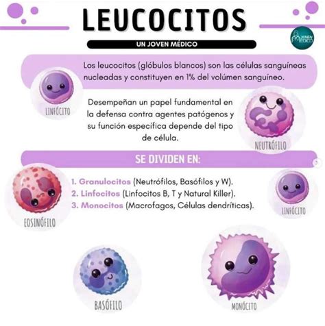 Leucocitos YUDOC ORG UDocz