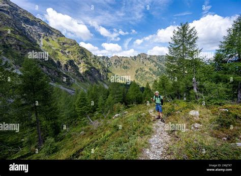 Mountaineer On A Hiking Trail Mountain Landscape With Green Meadows