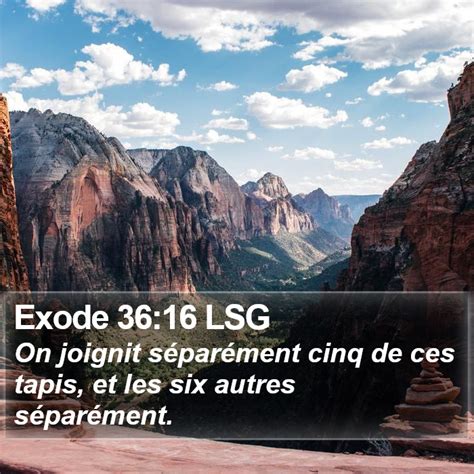 Exode 3616 Lsg On Joignit Séparément Cinq De Ces Tapis Et Les