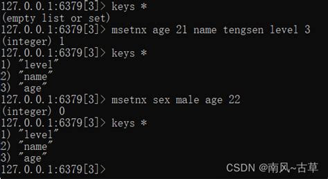 Redis 键key相关操作和常用命令redis添加key和值 Csdn博客