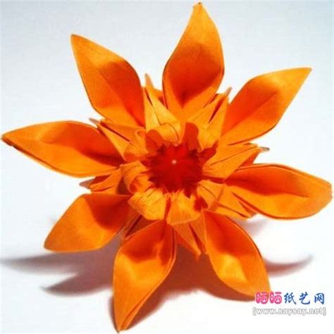 八瓣菊花的折法 八瓣菊花图解教程 植物折纸 折纸教程 晒宝手工晒晒纸艺网