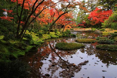 Kyoto Moyou