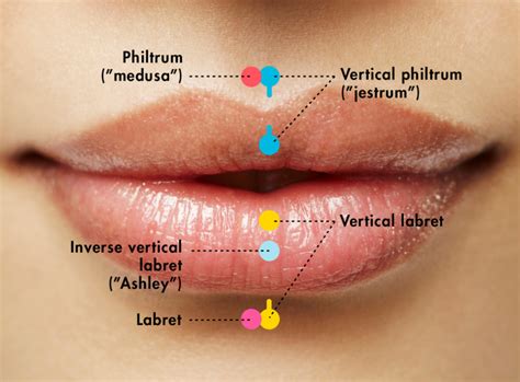Exploring The Fascinating Different Types Of Lip Piercings The Body Rings