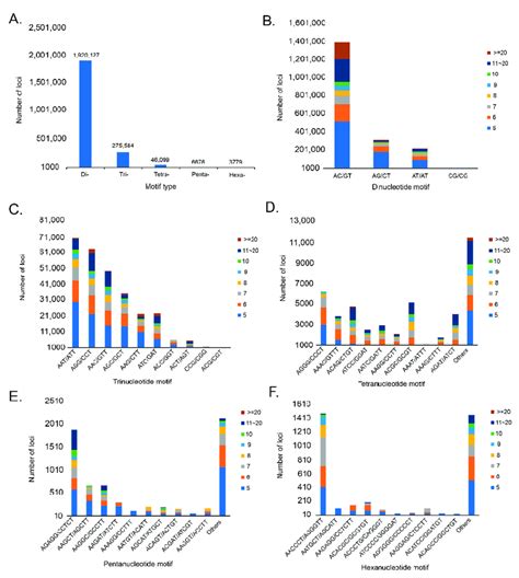Type And Frequency Of Microsatellite Motifs In Chionobathyscus Dewitti Download Scientific