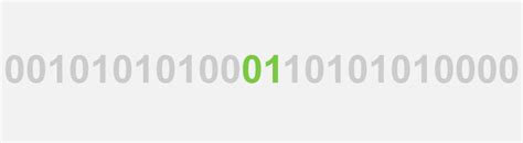 Data Formats Types PHP Certification Exam Series 9 Updated PMP