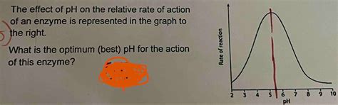 The Effect Of Ph On The Relative Rate Of Action Of An Enzyme Is