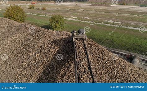 Crane Conveyor Of Combine Harvester Unloading Sugar Beet Harvesting