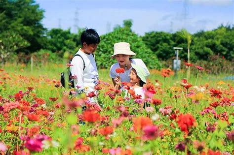 海南日报报道儋州：强基层党建，促乡村振兴！