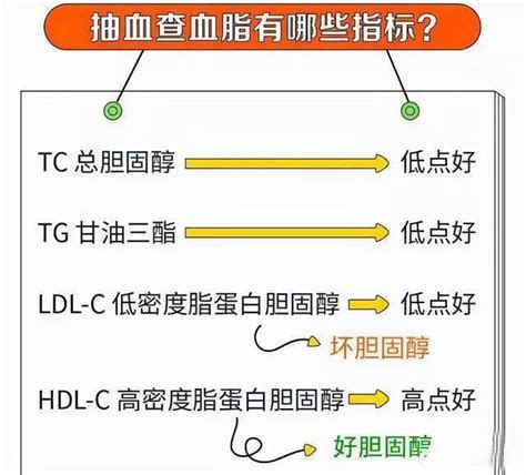 胆固醇和甘油三酯都是血脂哪一项更重要心血管医生有答案 东方养生频道 东方养生