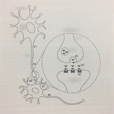 Chap 1 4 Diagram Quizlet