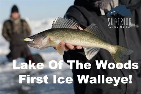 Early Ice Lotw Walleyes Northland Fishing Tackle