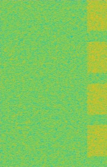 Spectrogram Object Detection Dataset By Fruits