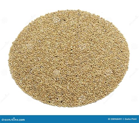 Seeds Of Panicum Panicum Miliaceum Stock Image Image Of Cultivated