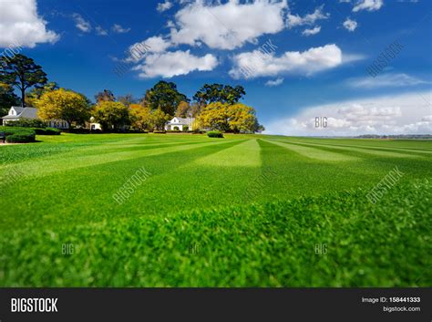 Perfectly Striped Image And Photo Free Trial Bigstock