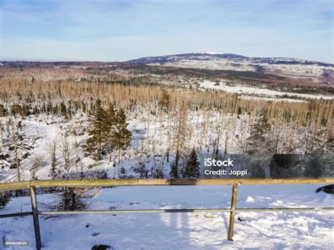 독일 하르츠 산맥의 겨울 풍경입니다 Achtermannshöhe에서 보기 0명에 대한 스톡 사진 및 기타 이미지 0명 12월 1월 Istock