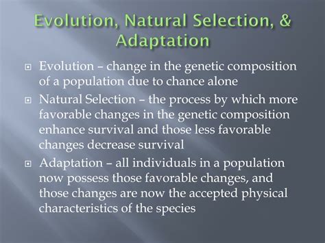 Natural Selection Adaptation And Evolution
