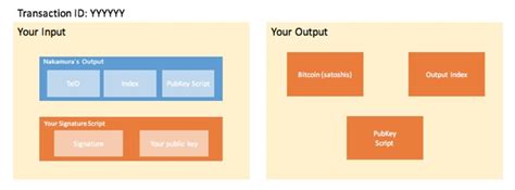 Bitcoin Transaction Validation What Exactly Goes On Under The Hood Deltec Bank And Trust