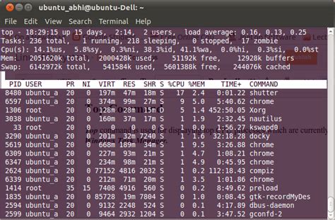 About Linux Top Vs Ps Command