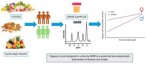 Urinary Hippuric Acid As A Sex Dependent Biomarker For Fruit And Nut
