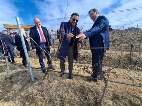 Министрите Пулев Гечев и Димитров зарязаха лозята край Мелник