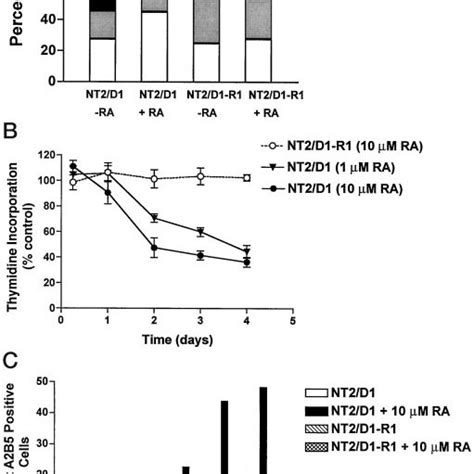 Differentiation Resistant Nt2d1 R1 Cells Do Not Arrest In The G 1
